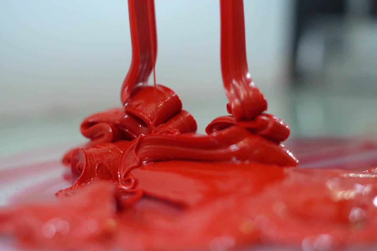 Eco-Friendly Packaging and Branding Solutions in Delhi NCR